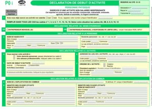 Formulaire P0i : Guide Complet pour Déclarer Votre LMNP